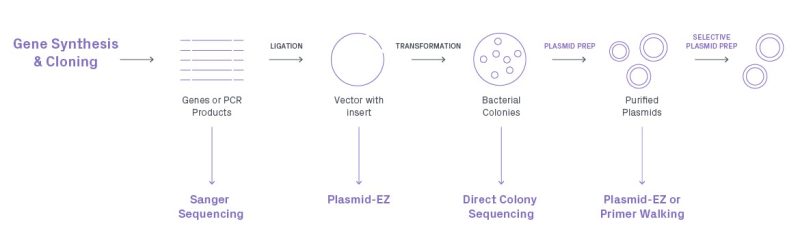 AZENTA GENEWIZ - fnscience
